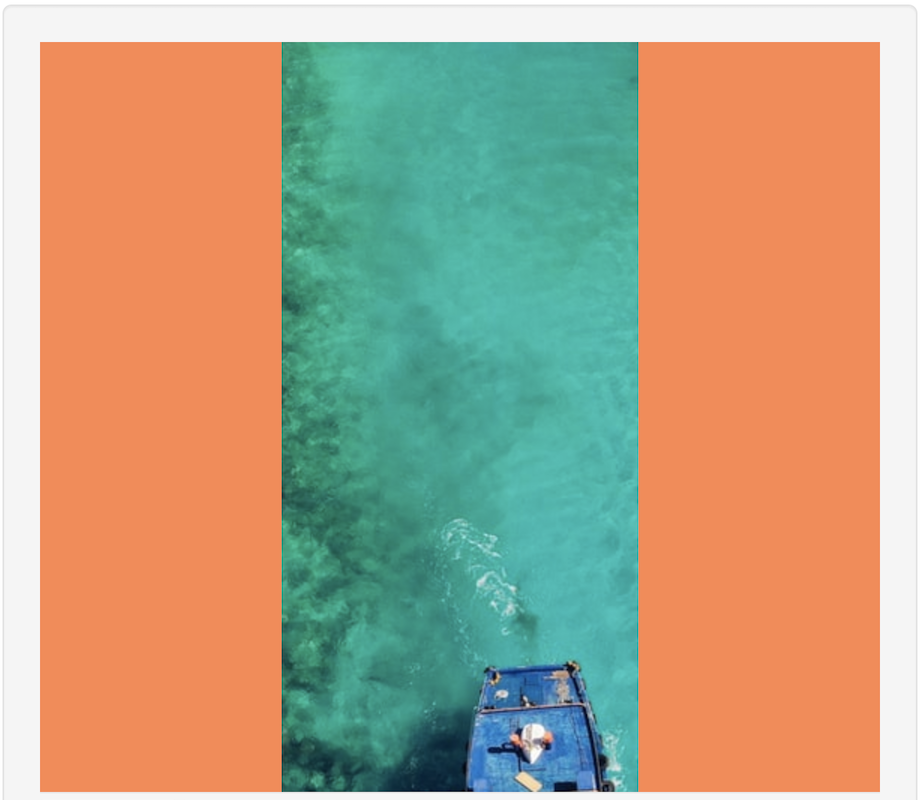 【Vue/CSS】10倍洗練されたデザインをhoverアニメーションで100倍洗練してみた | TwinzLabo